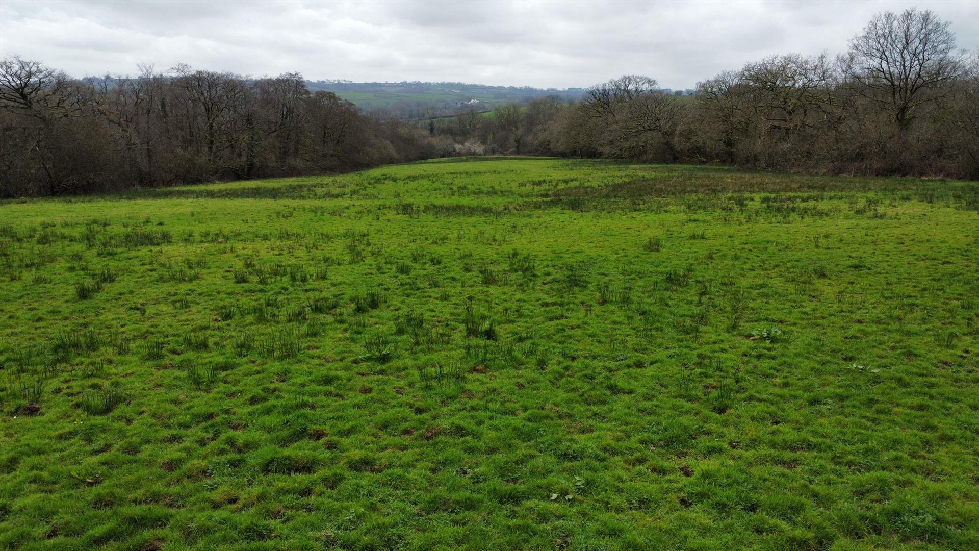 4.32 Acres Of Organic Land, Llanfallteg, Whitland – JJMorris